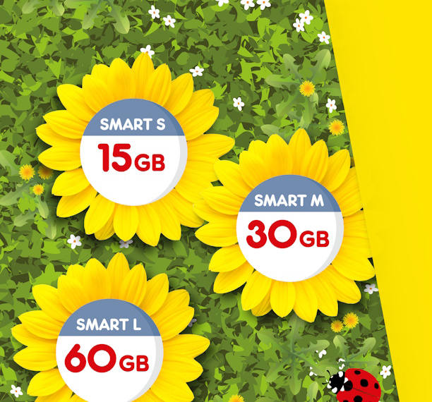 Dein günstiger Prepaid Handytarif von Netto